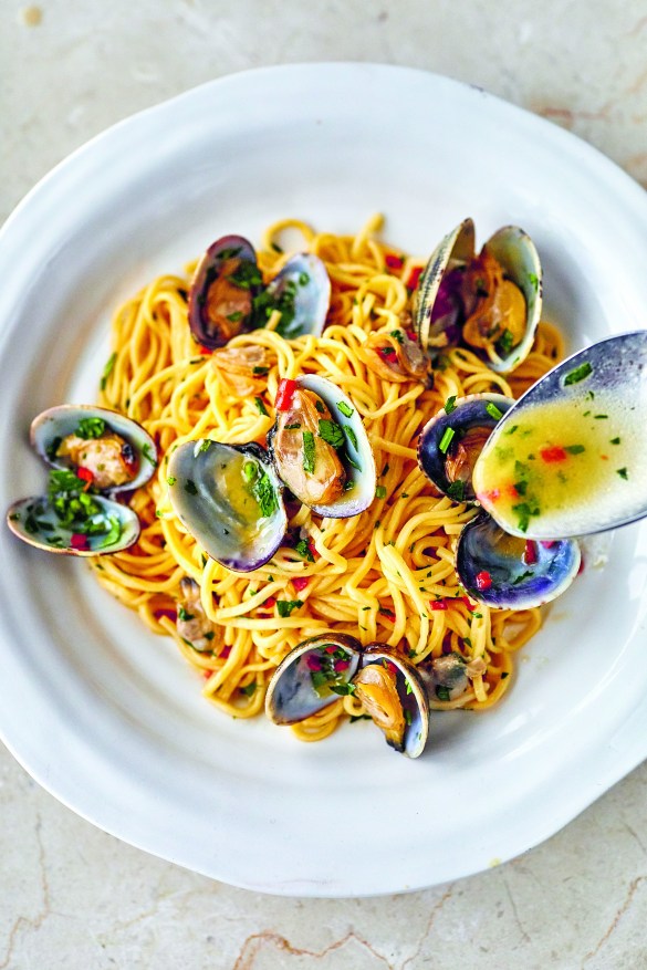 Tagliarini alla Vongole - Appetito