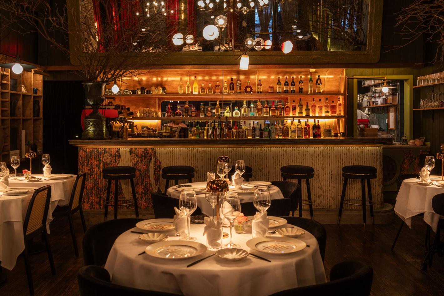 What to Know About TUCCI-New York - Appetito