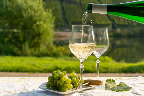 Celebrating Pinot Grigio delle Venezie - Appetito