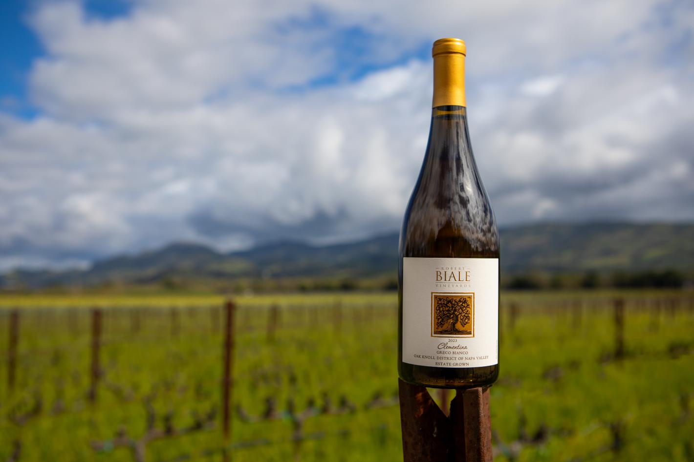 Robert Biale Vineyards’ Incredible Italian Immigrant Story - Appetito