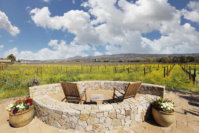 Robert Biale Vineyards’ Incredible Italian Immigrant Story - Appetito