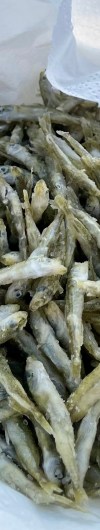 How an American Fries Sand Smelt in the Venetian Lagoon - Appetito