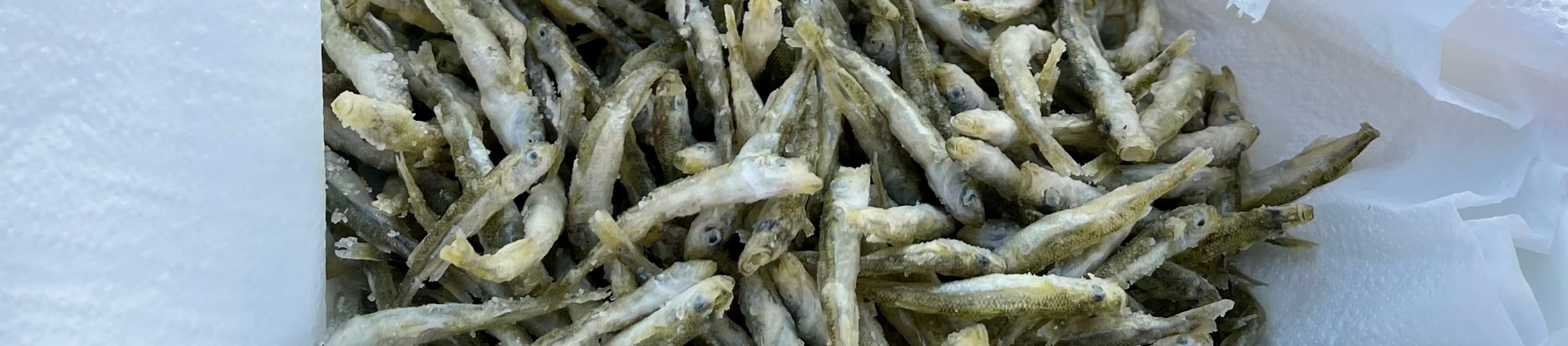 How an American Fries Sand Smelt in the Venetian Lagoon - Appetito