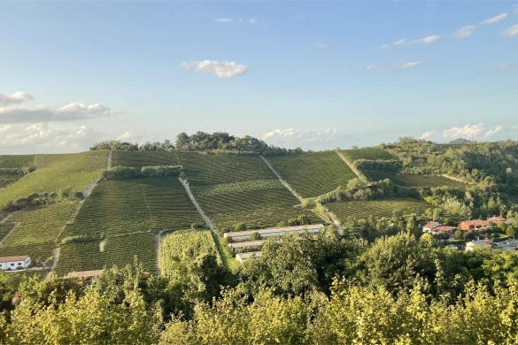 Soccer Mogul Matt Rizzetta Talks Family, Food, and Italian Football ...